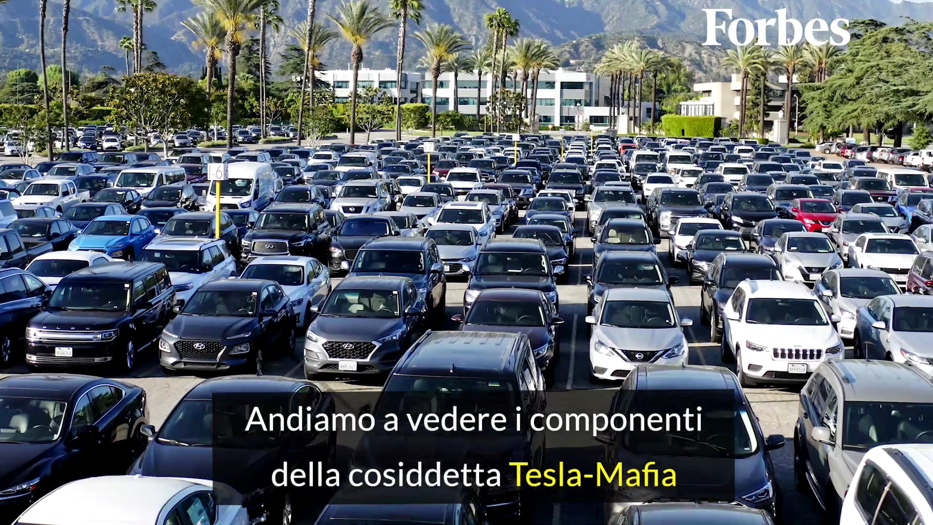 Tesla-Mafia - BFC Video Tesla-Mafia - BFC Video